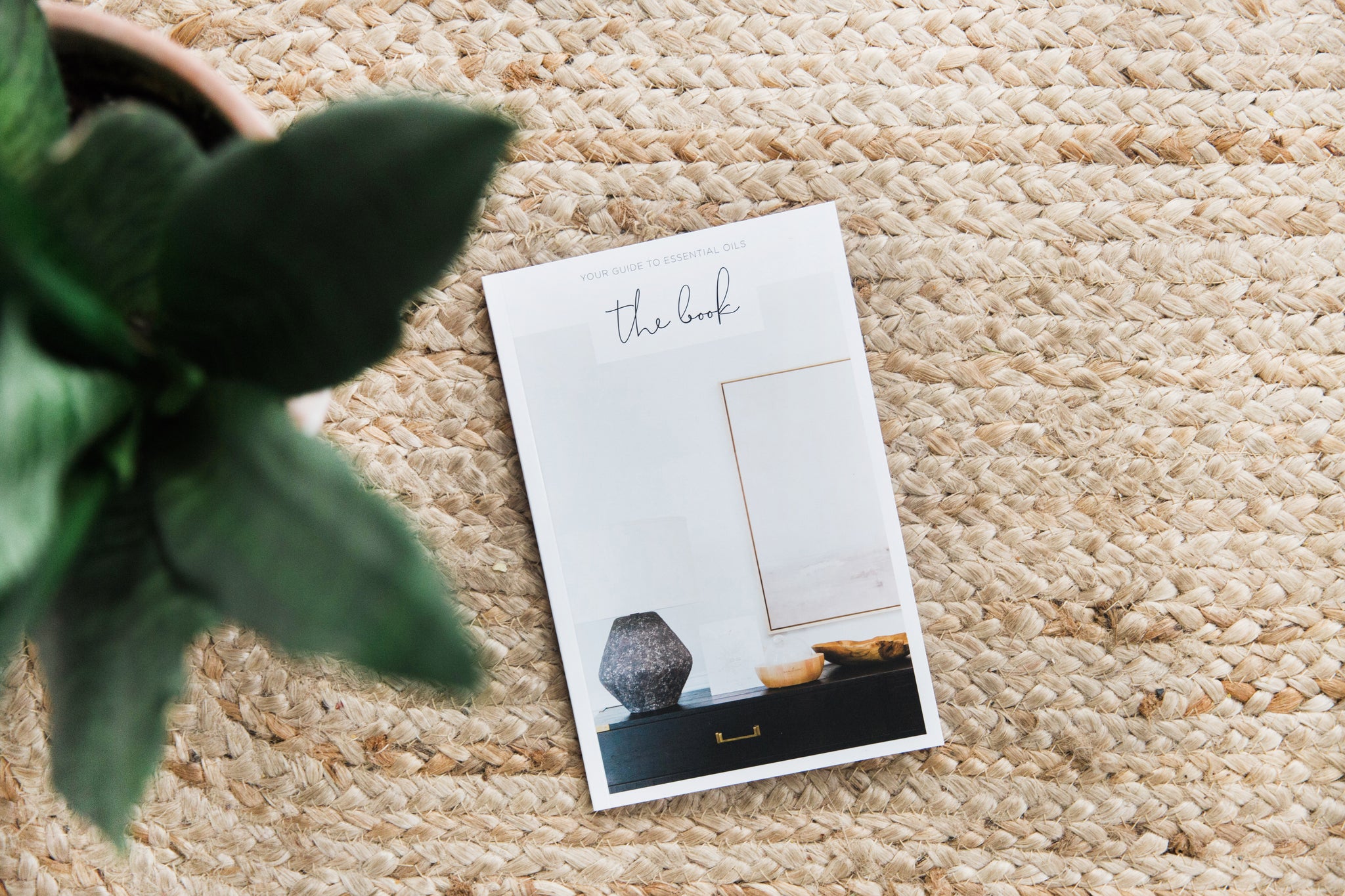 Modern Handbook, Pack of 5 – Modern+Co