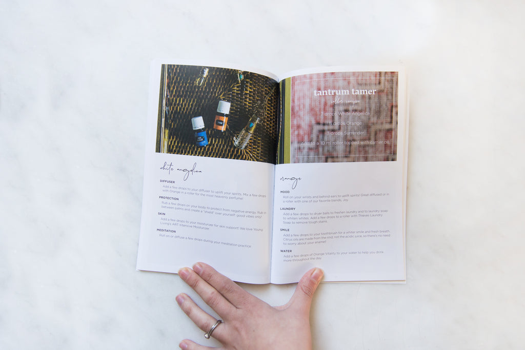 Modern Handbook, Pack of 5 – Modern+Co